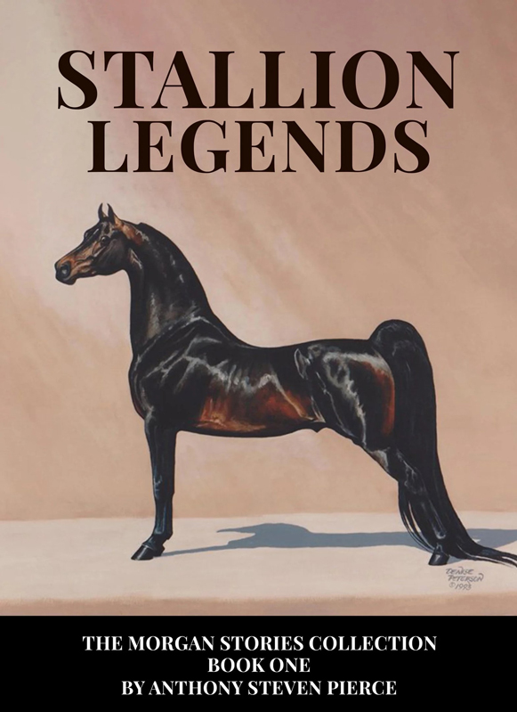Stallion Legends - The Morgan Story Collection