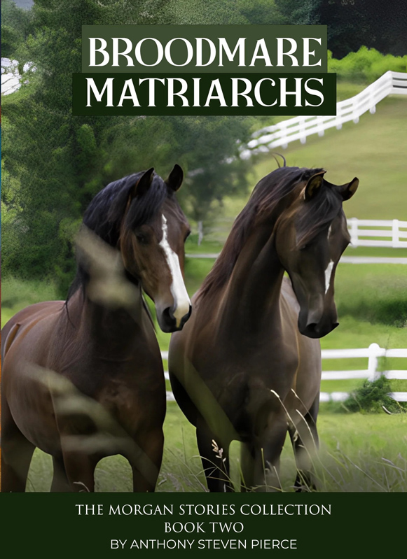 Broodmare Matriarchs - The Morgan Story Collection