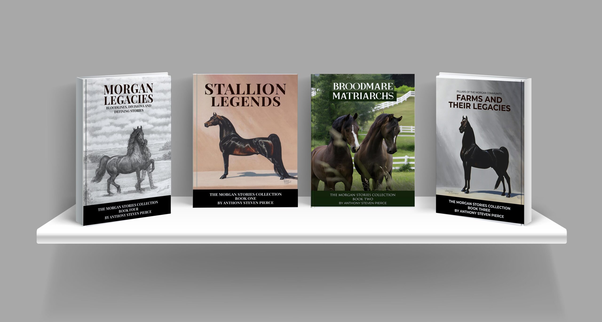 The Morgan Stories Collection Complete Set - The Morgan Story Collection